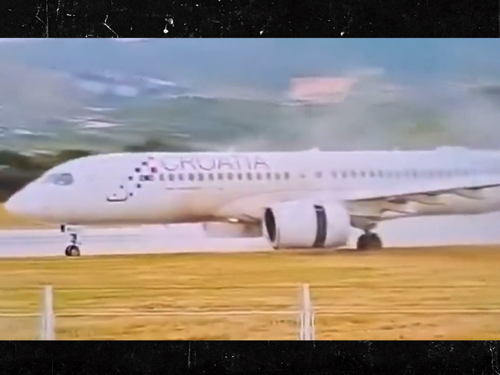 Croatia Airlines jet skids off runway in aborted takeoff, on video