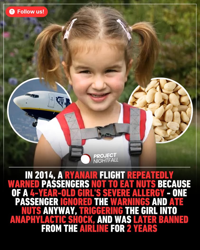 Selfish passenger's nuts nearly kill child on plane despite dire warnings!