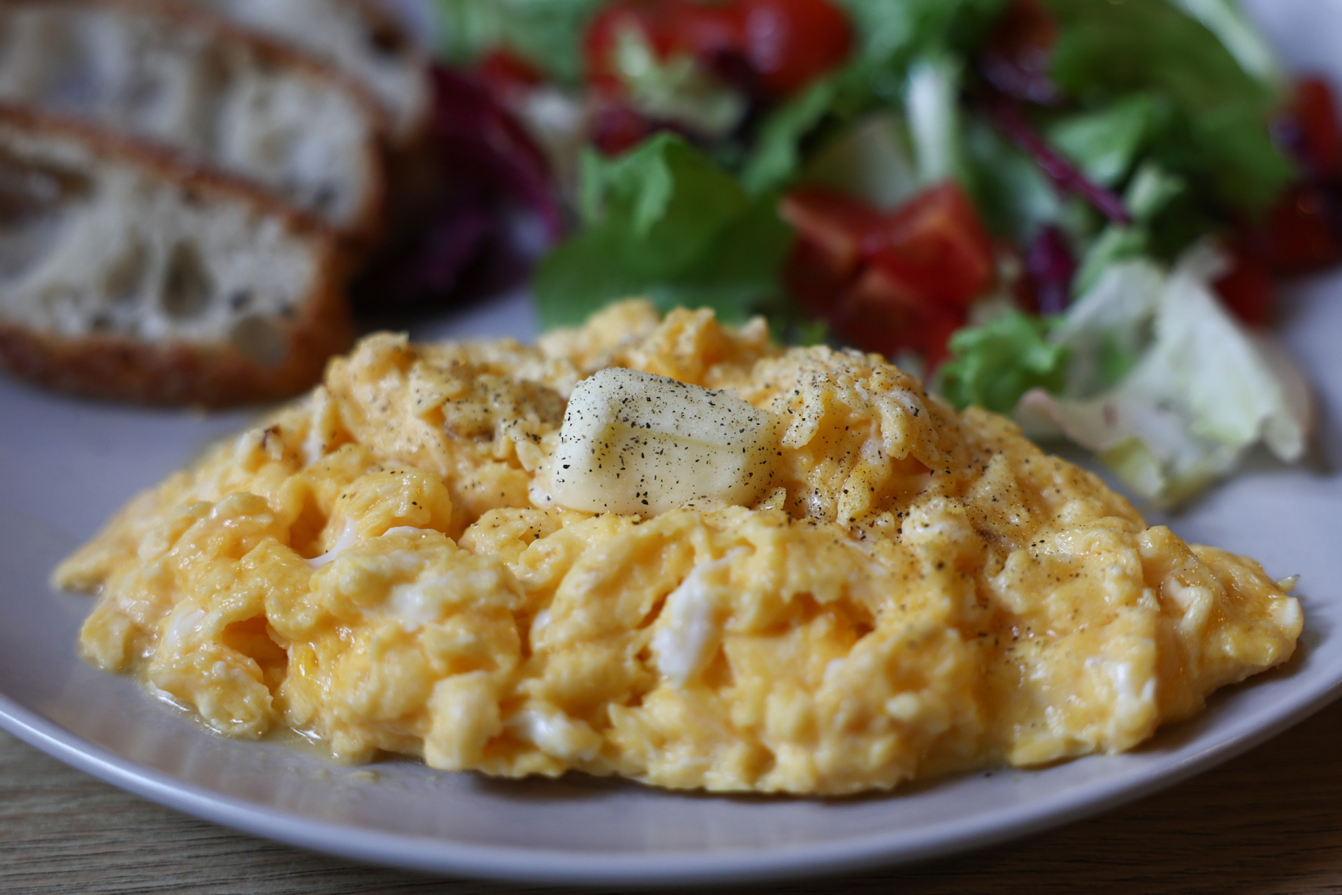 Prehistoric animals that still roam the Earth