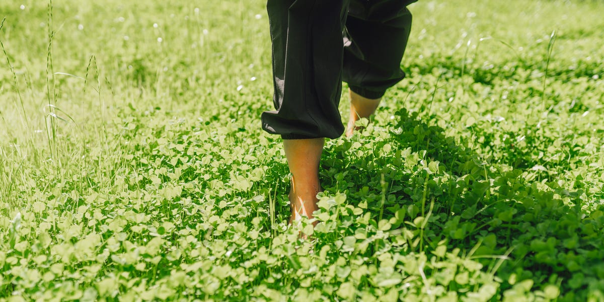 Stop pulling every weed—some are actually helping your lawn