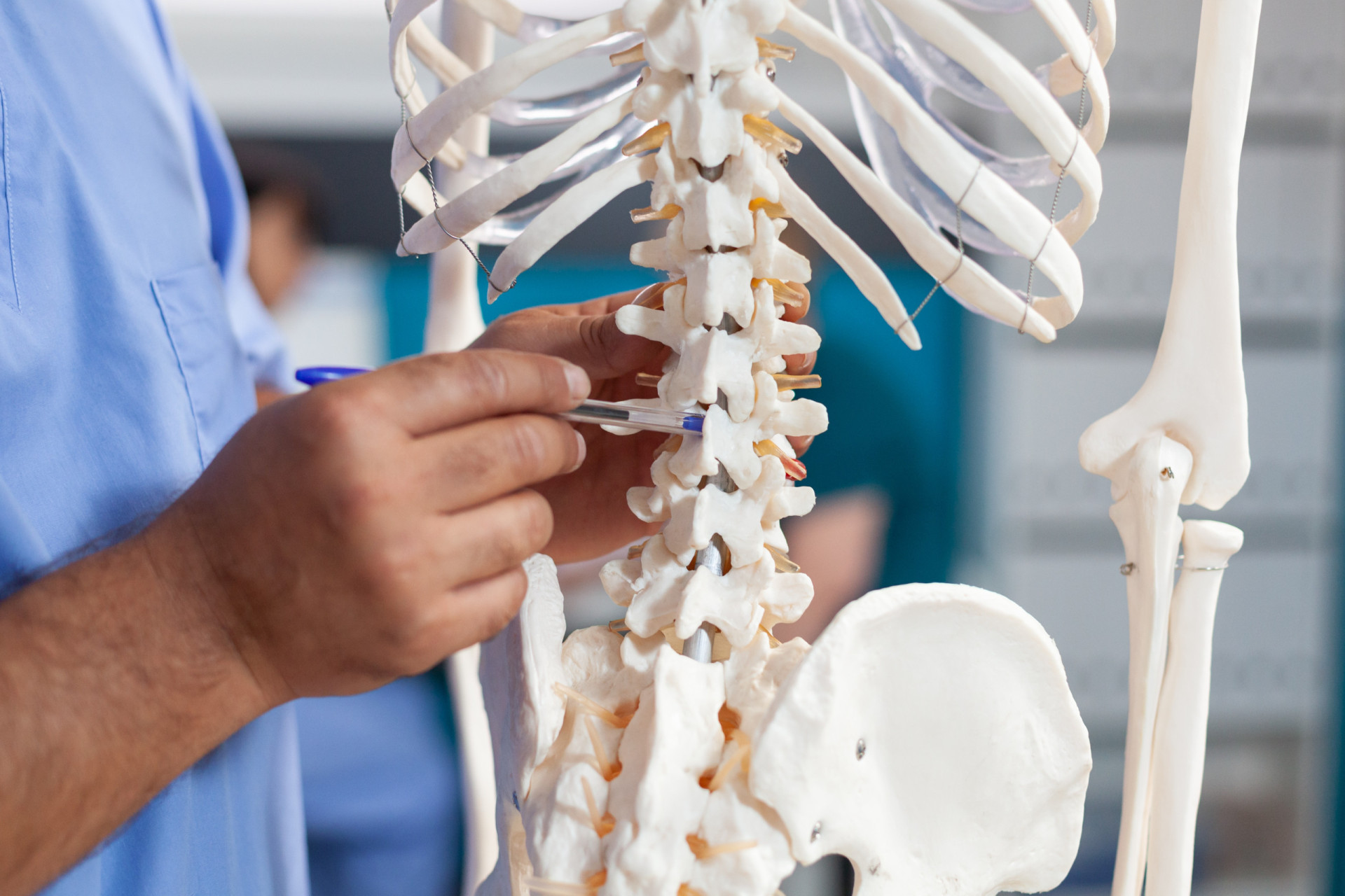 Comment les os se réparent-ils suite à une fracture