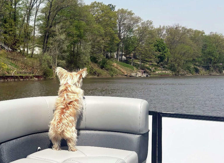 Boaters return to Sanford Lake after six years away — but caution remains