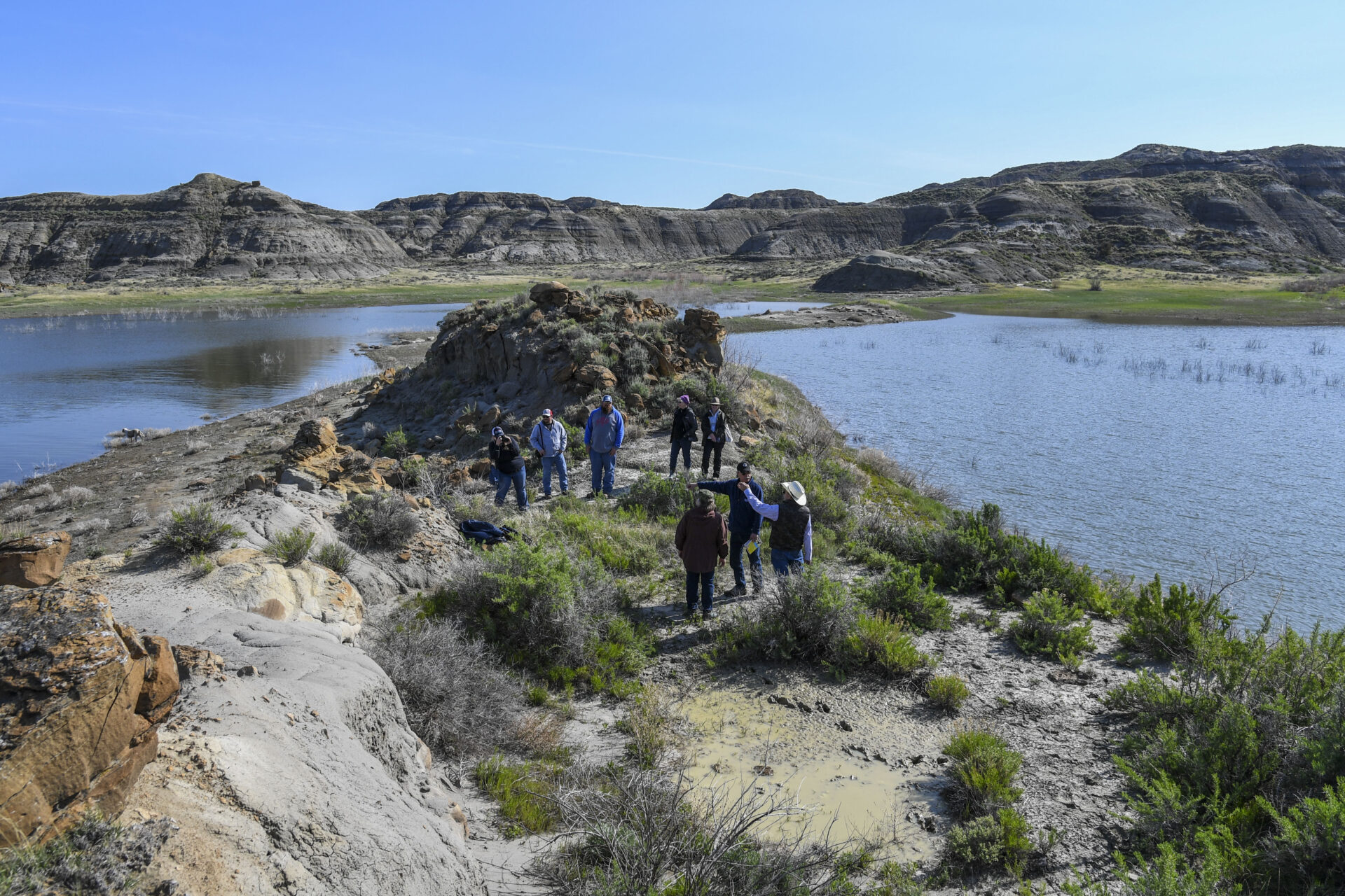 The fabulous discoveries at Hell Creek: T rex, prehistoric plants, and more