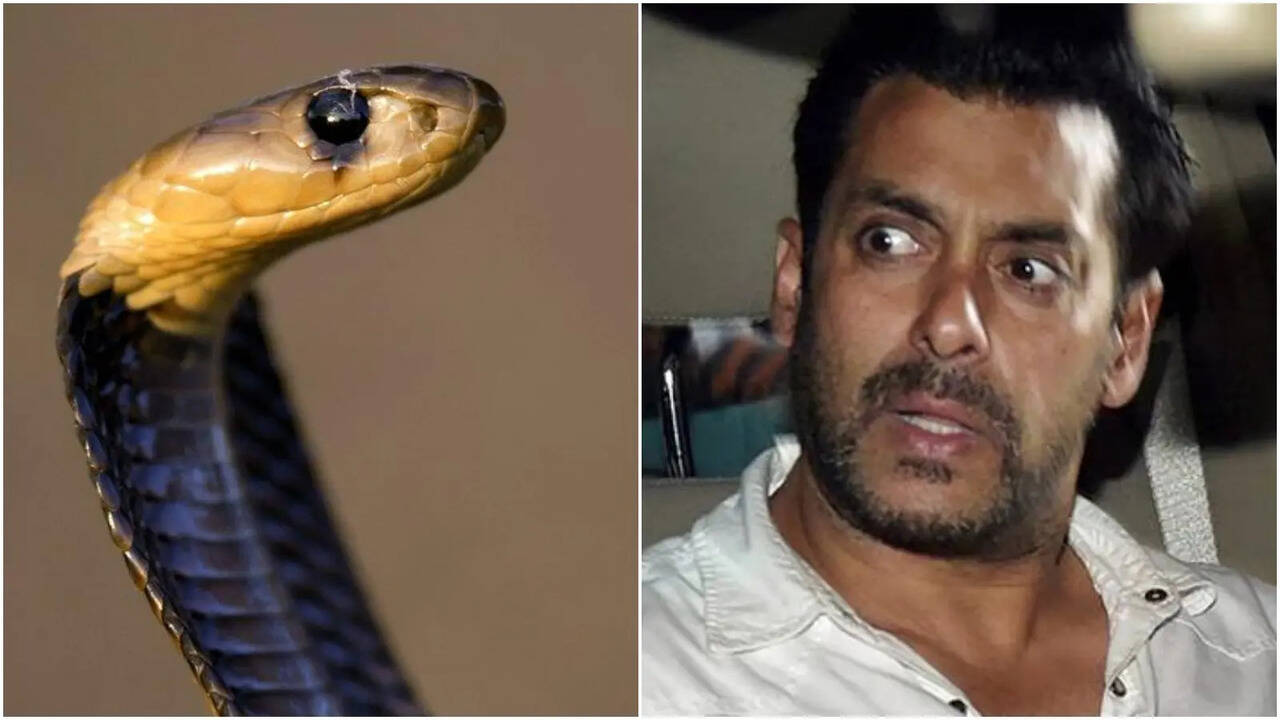 Snake enters Salman Khan’s Galaxy Apartments; here’s what happened next