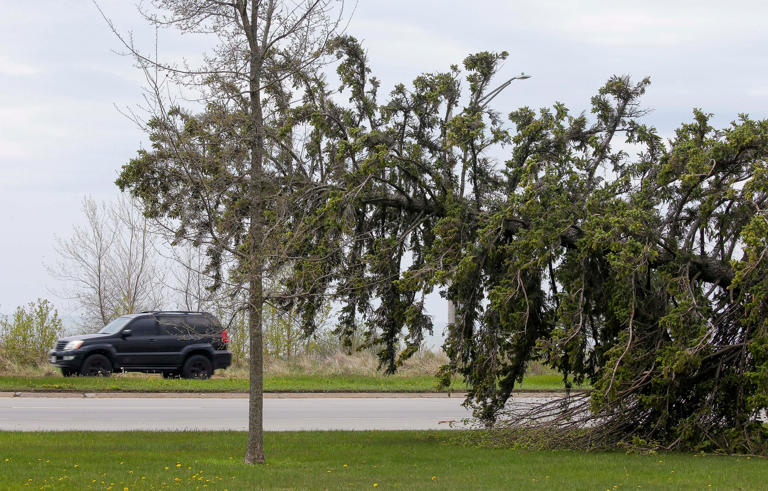 Two Rivers compost site reopens after closure following storm