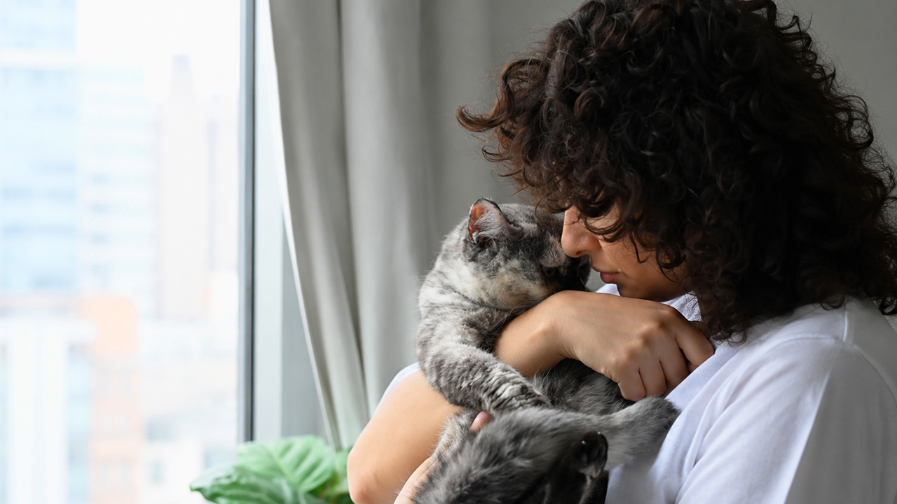 A girl shows affection to a cat and experiences a peaceful moment