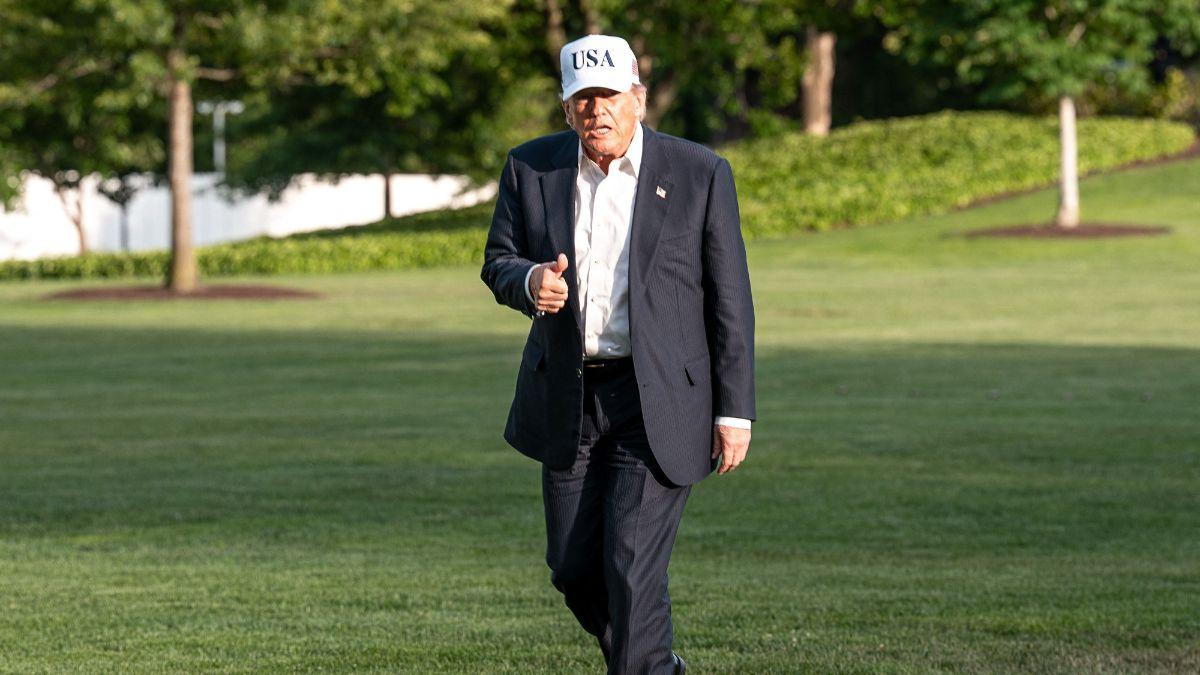 Donald Trump mocked for sharing AI photo of himself with an alien ...