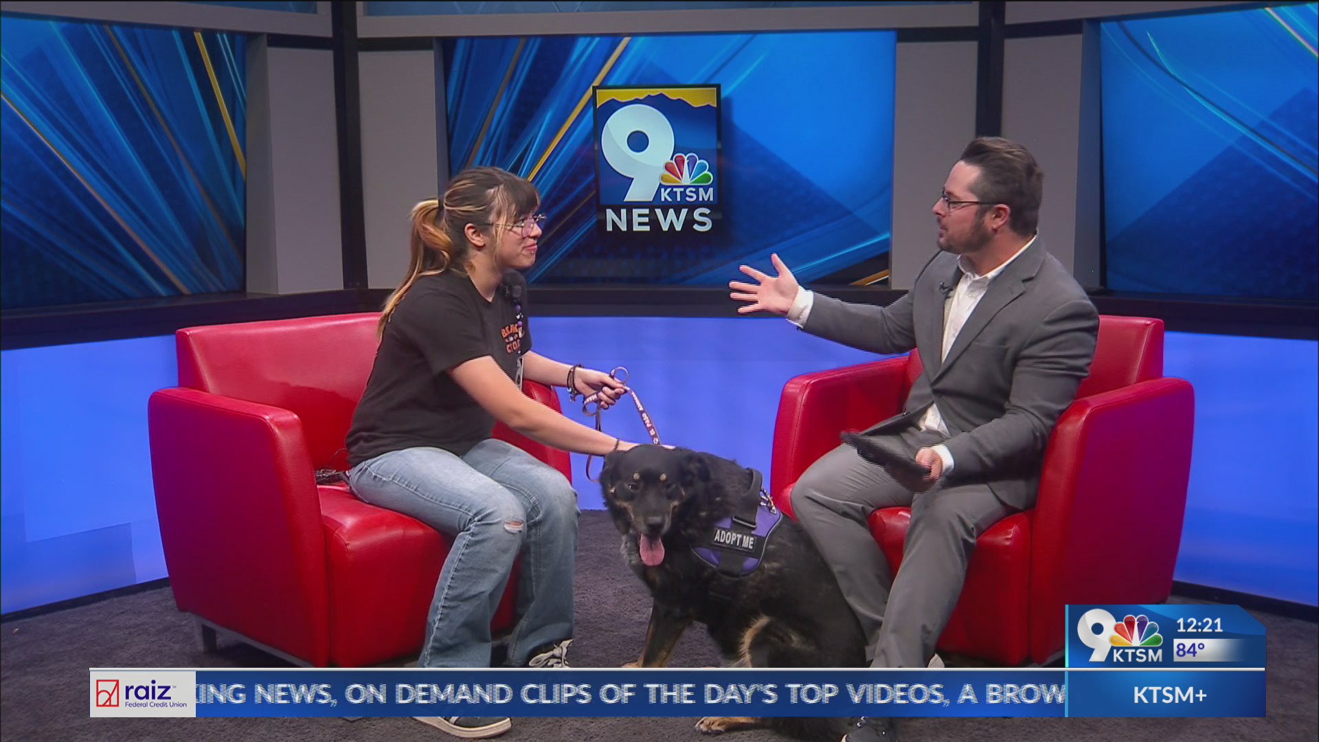 Mutt Monday: Animal Services provide spay, neuter resources