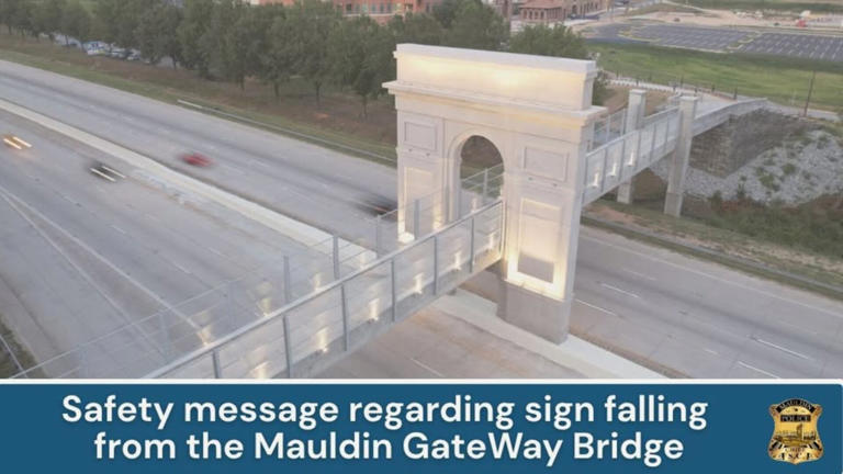 Police: Man ran across I-385 lanes to retrieve fallen bridge sign in ...