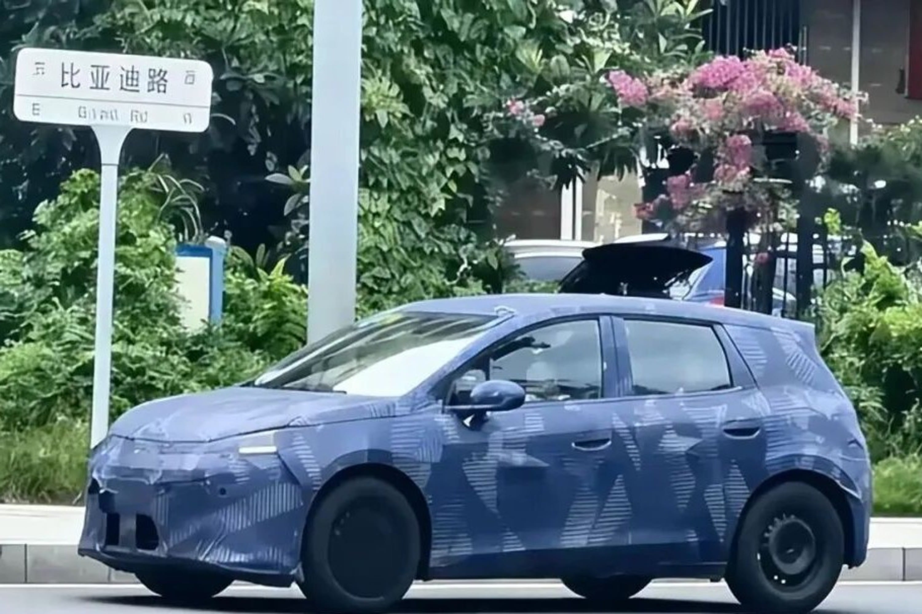 BYD Dolphin PHEV spied ahead of European debut