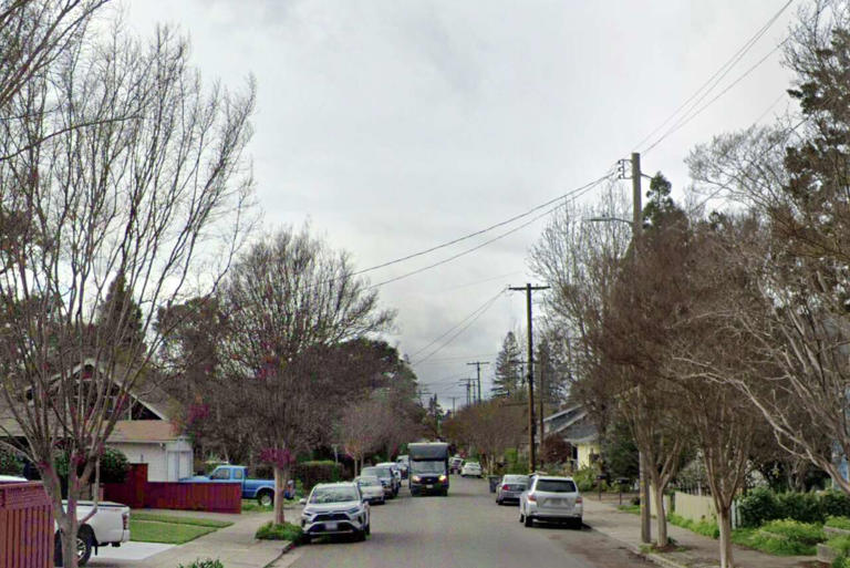 Man dies, woman seriously injured by falling branches during Bay Area ...