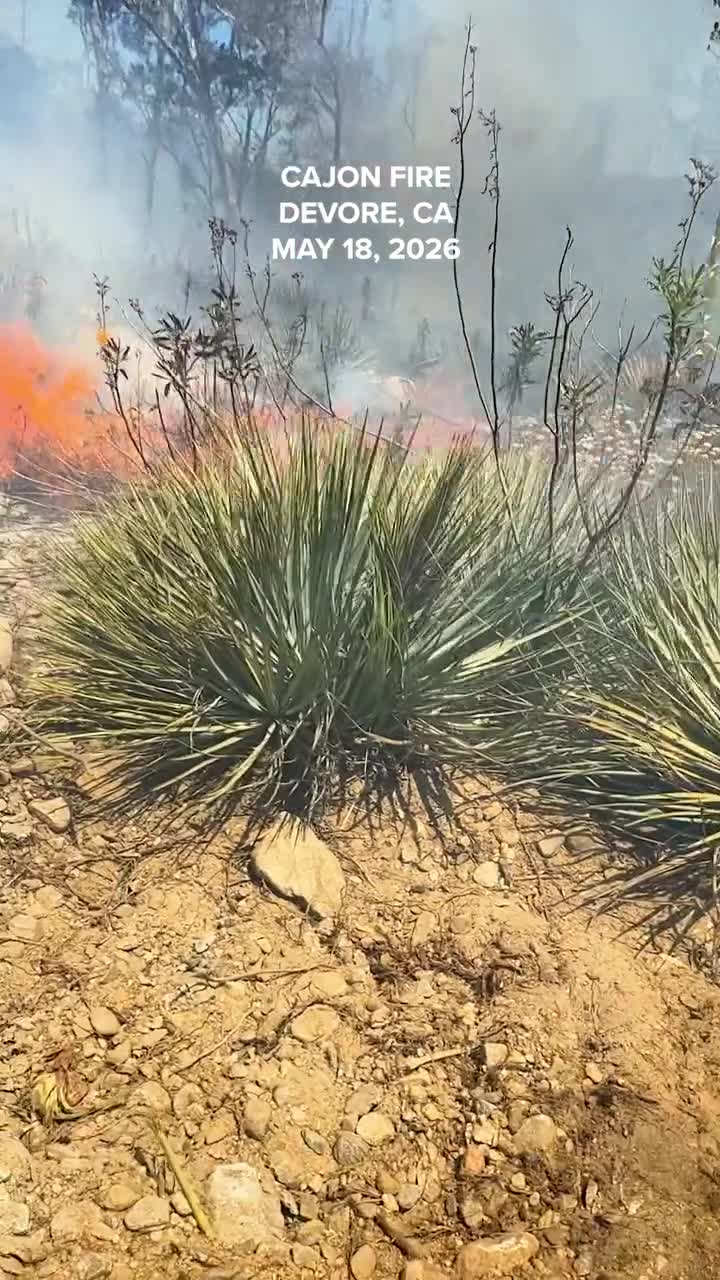 Firefighters stop brush fire burning near Cajon Pass in San Bernardino ...