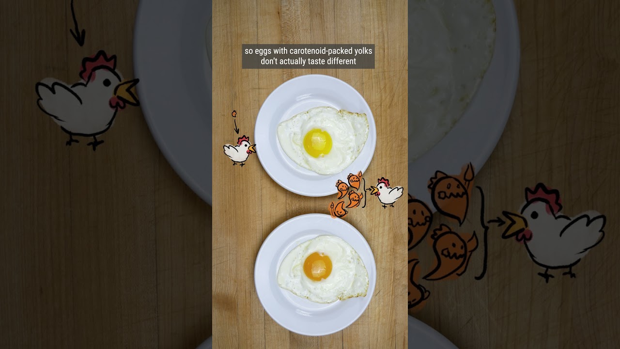 The truth about egg yolk color