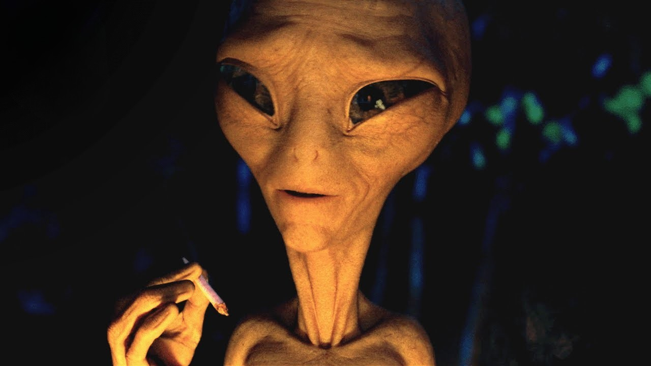 Alien gets everyone high, Paul
