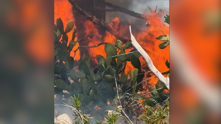 Firefighters stop brush fire burning near Cajon Pass in San Bernardino ...