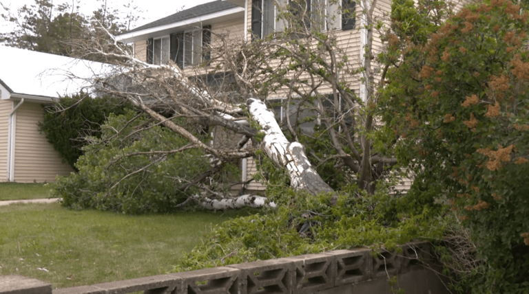 Photos: 50 mph winds cause broken branches, downed trees in southern Utah