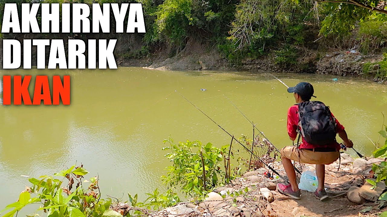 Mancing di sungai dengan umpan ubi yang tak terduga
