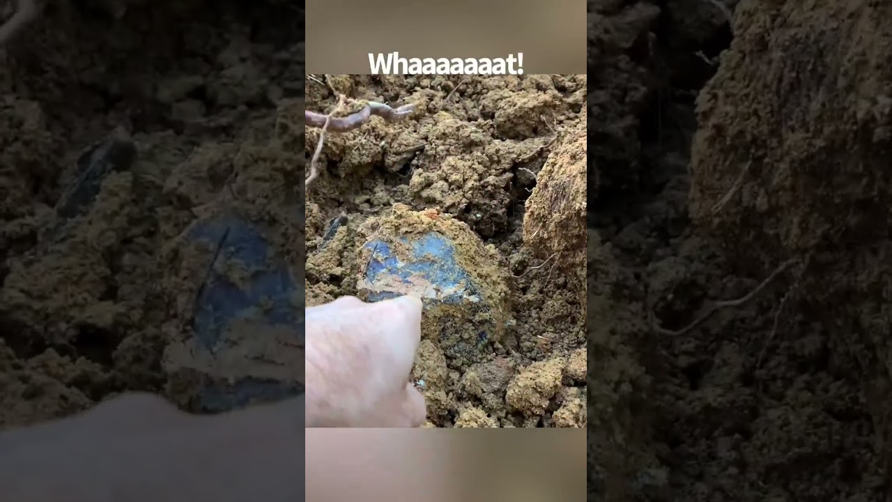 Found a nice amethyst crystal while trenching a field in South Carolina!