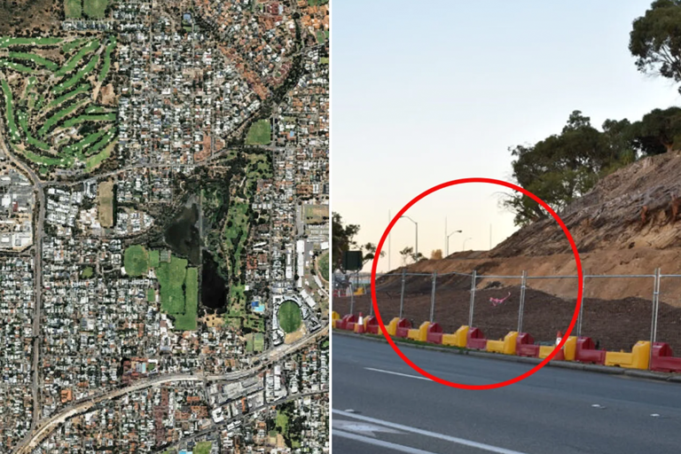 Warning as pest threatens to hop state border after entire Aussie city ...