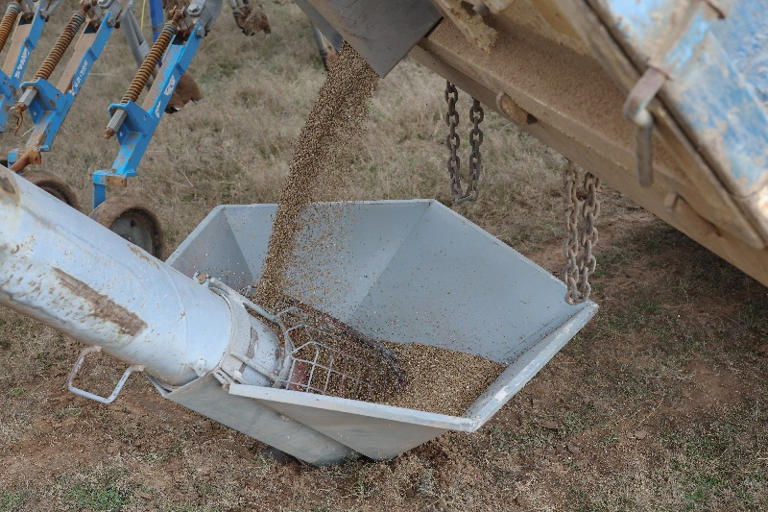 Australia's farmers, hit by Iran war costs and dry weather, grow less wheat