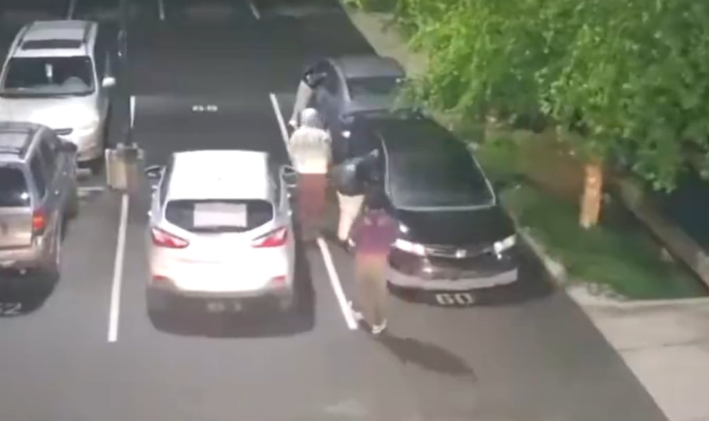 14 cars broken into in Parkland, police searching for 4 suspects