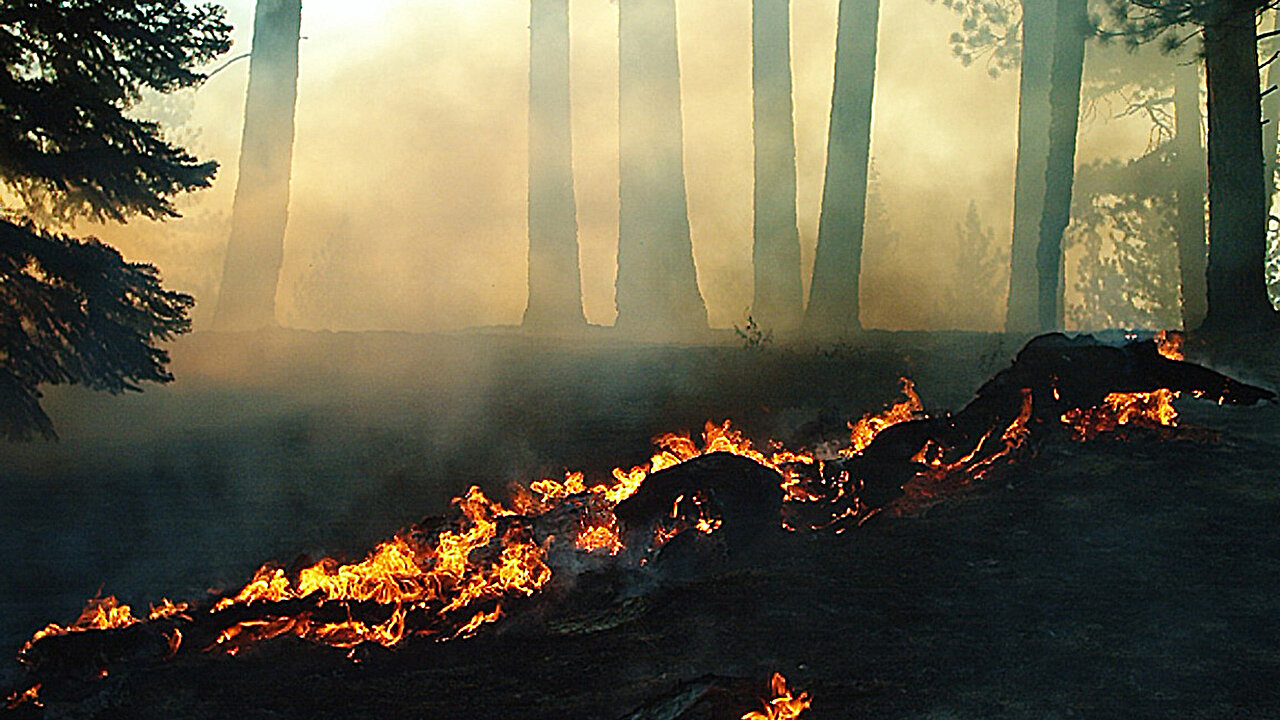 How much worse could western wildfires get? New modeling changes ...