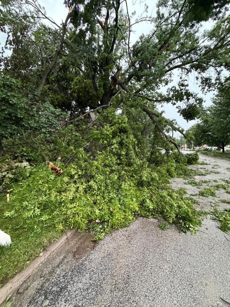 Weather damage prompts Auburn Public Schools to cancel classes Tuesday