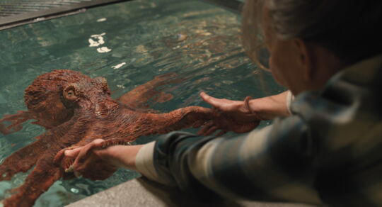 De si remarquables créatures (Netflix) : Marcellus est-il une vraie ...