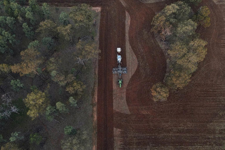 Australia's farmers, hit by Iran war costs and dry weather, grow less wheat