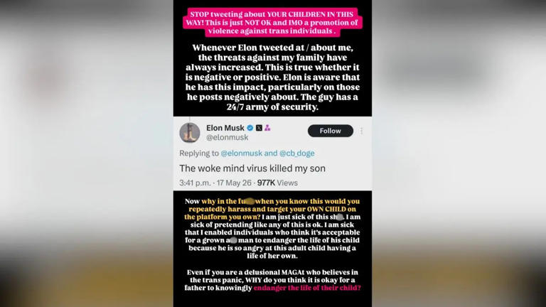 Elon Musk's baby mama Ashley St. Clair accuses him of 'putting hits' on ...