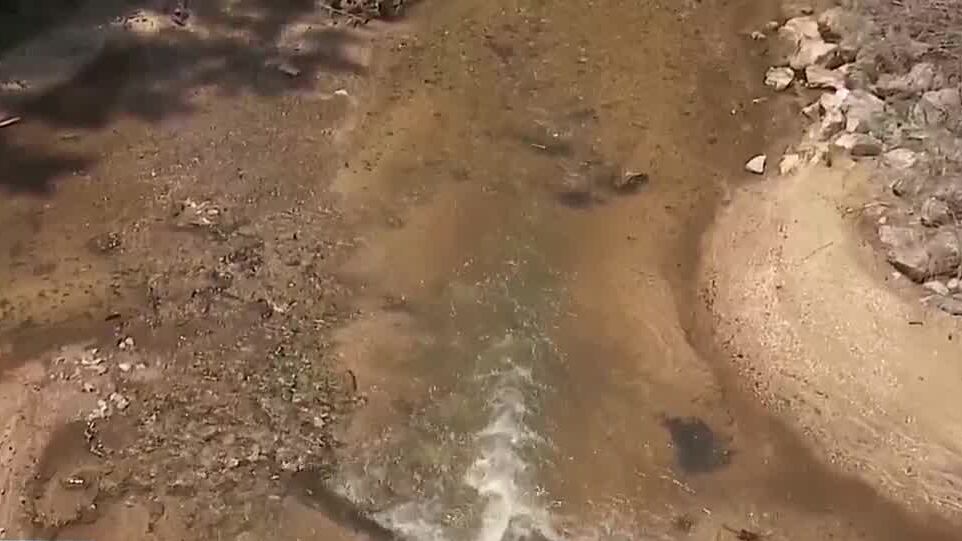 River keeper warns of excessive E coli levels ahead of holiday weekend