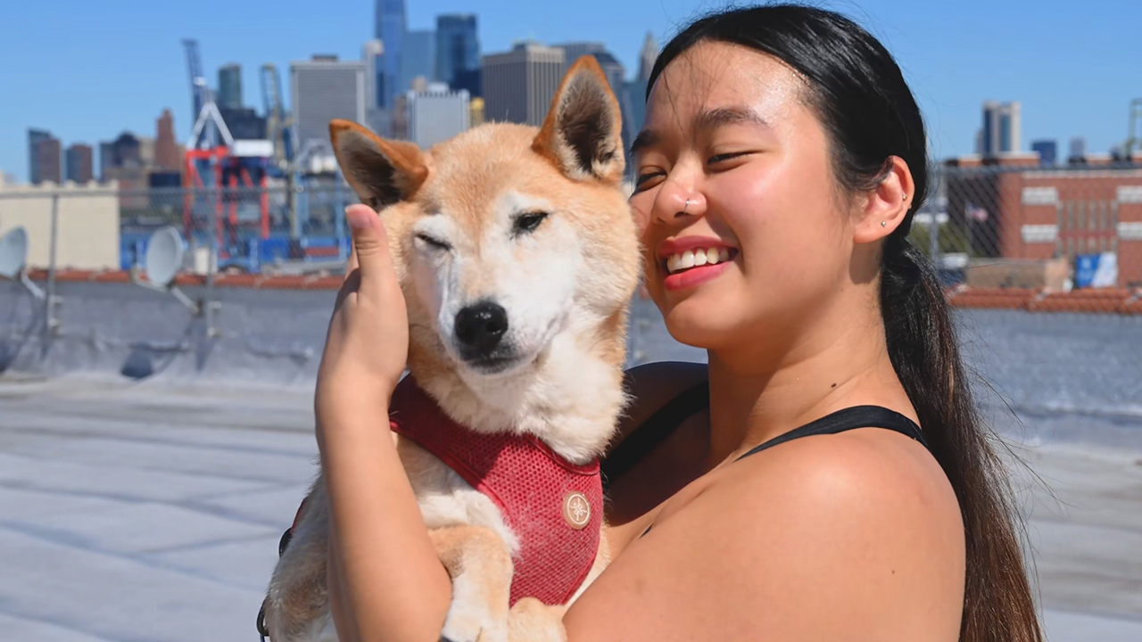 I filmed a pure love moment between a girl and a dog