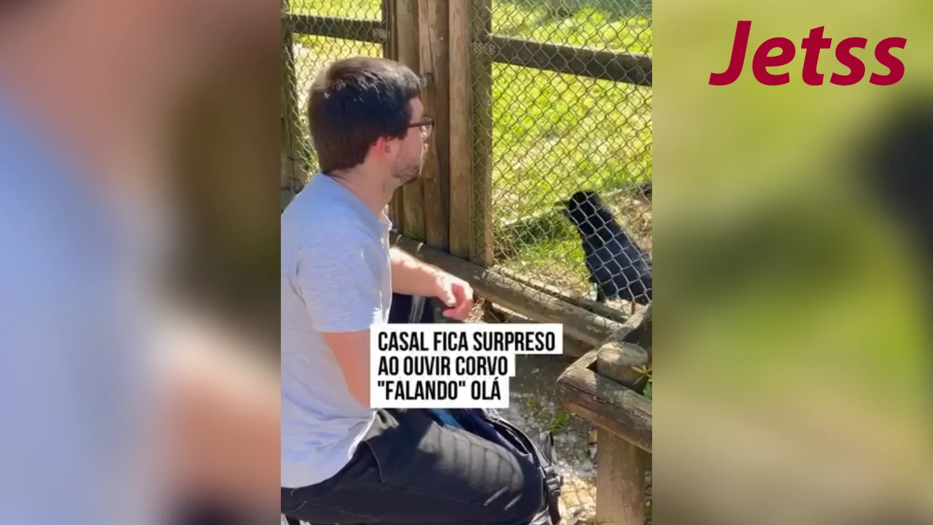 Casal fica surpreso ao ouvir corvo falando olá
