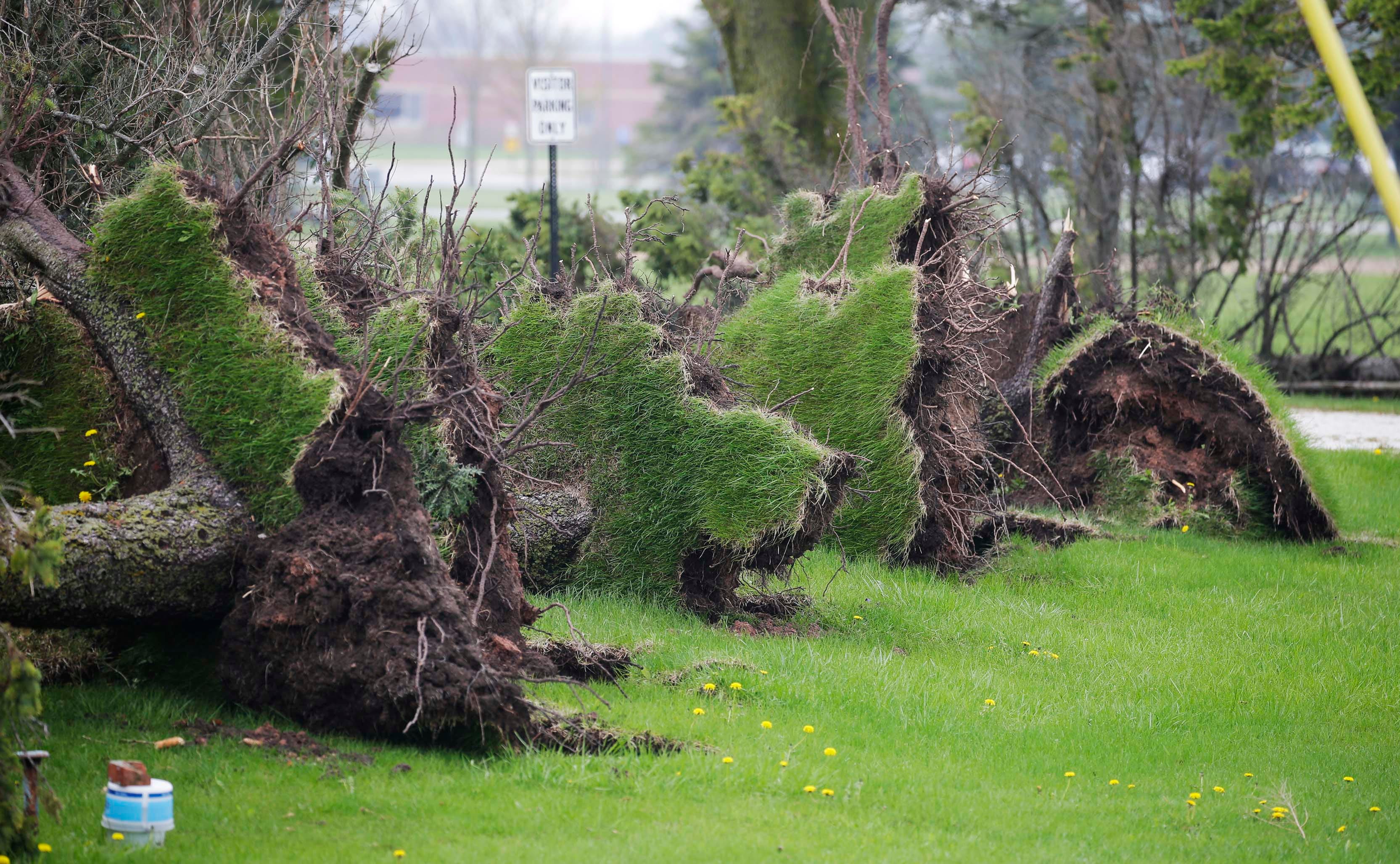 Storm overload temporarily closes Woodland Compost Site