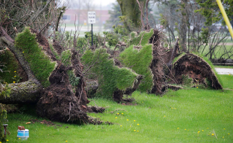Storm overload temporarily closes Woodland Compost Site