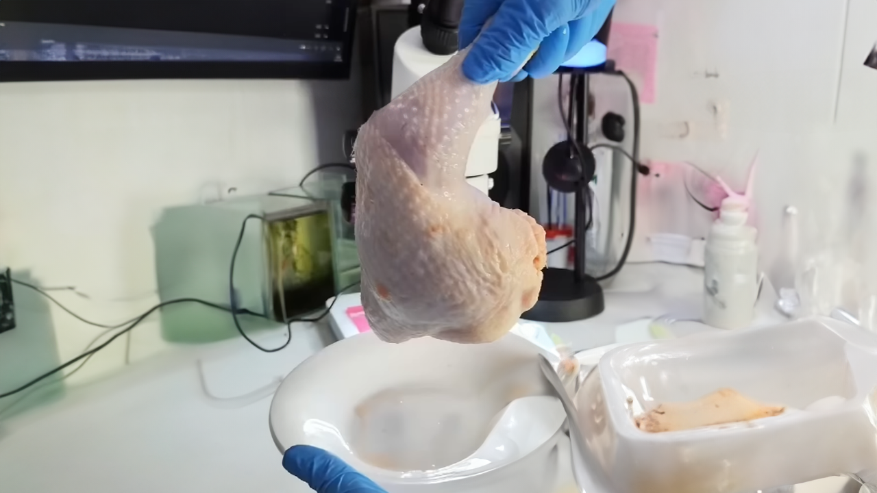 Doctor explains why this might be in your chicken