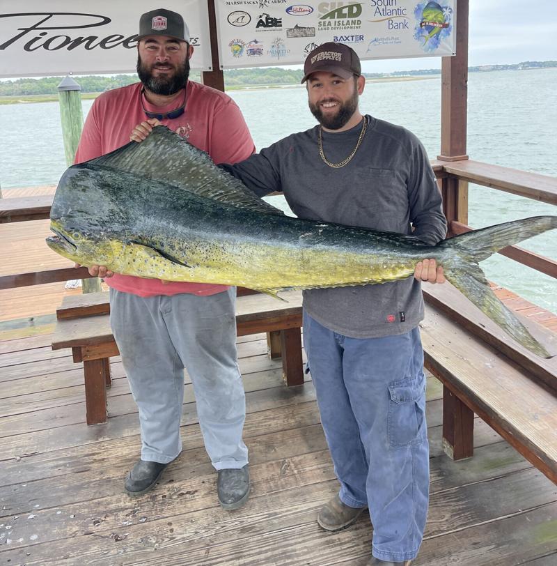 Big dolphin show up in South Carolina Mahi Series