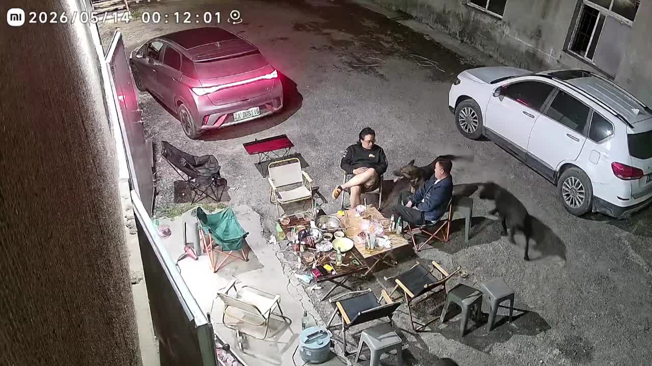 Two dogs fight beside outdoor cooking area in Liaoning, China