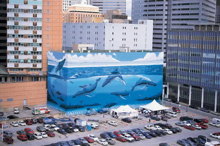Artist outraged after conservationist mural painted over by FIFA