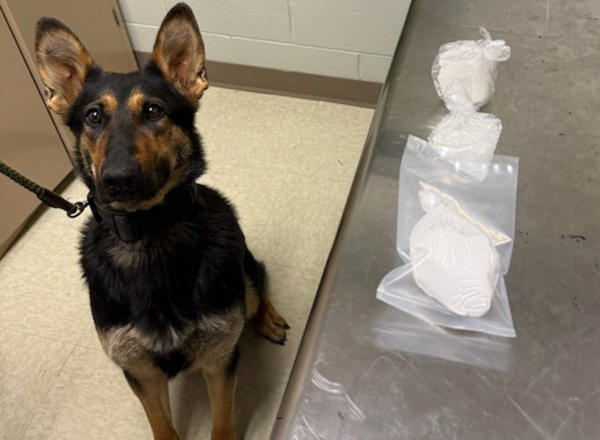 Clifton Forge woman faces drug charges after traffic stop