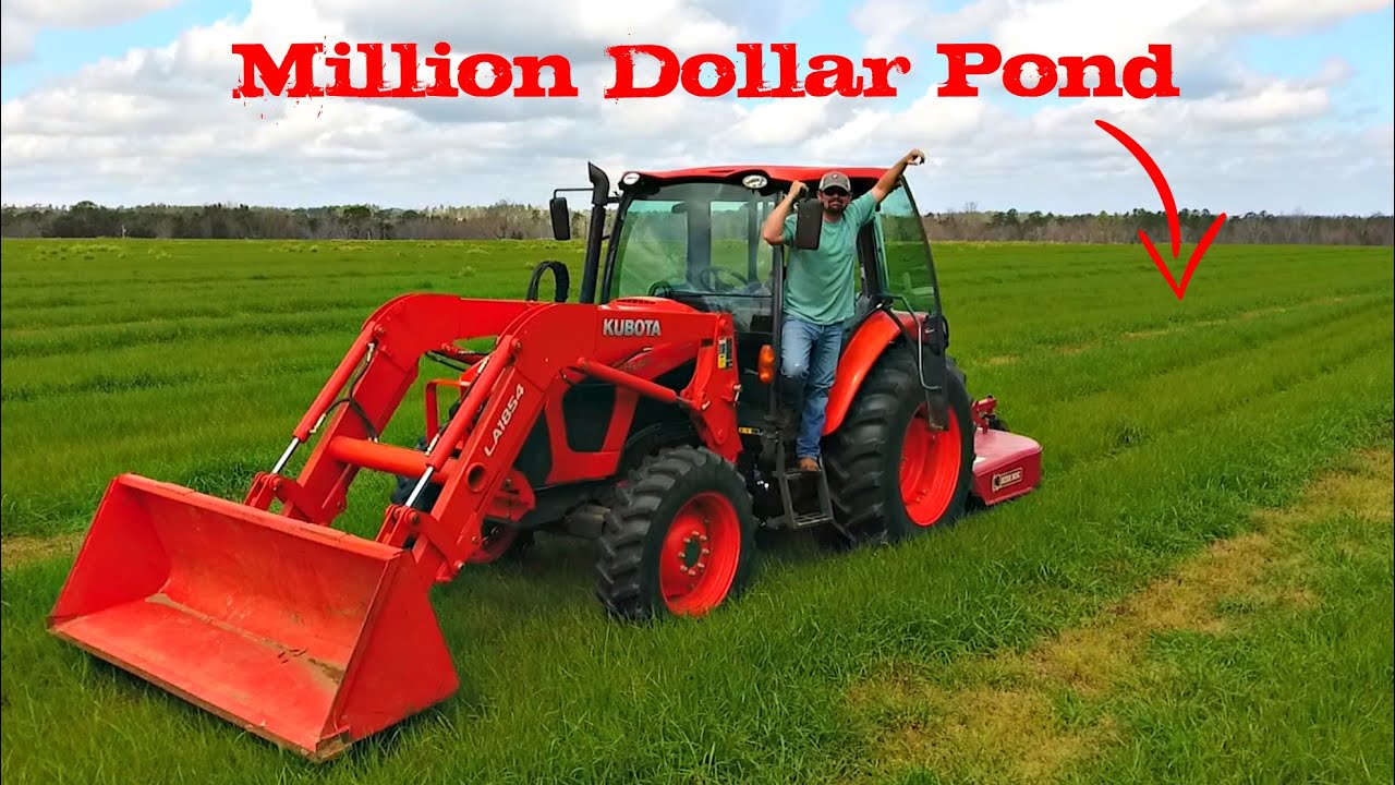 I built a million-dollar pond! 💰