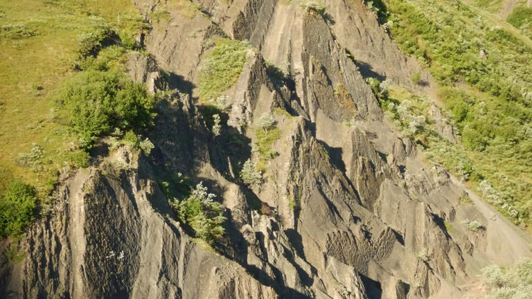 During a hike, scientists discovered that a cliff in Alaska revealed ...