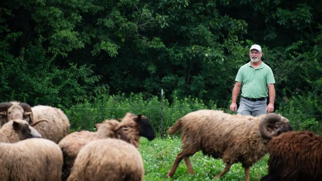 Small farmers form coalition to push back against proposed 2026 US Farm ...