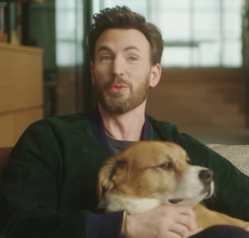 Stars who have adopted rescue pets