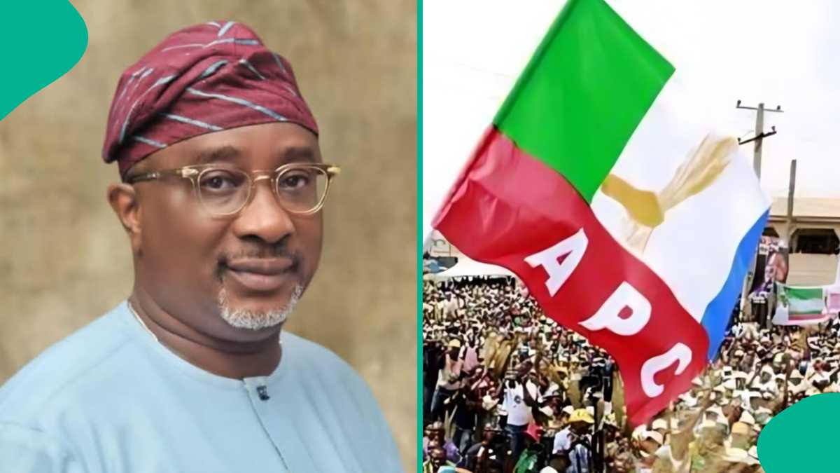 Delegates and pupils flee for safety after shooting at APC primary ...
