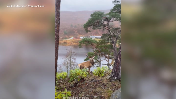 Watch: Inside Pippa Middleton's 10,000 acre family estate