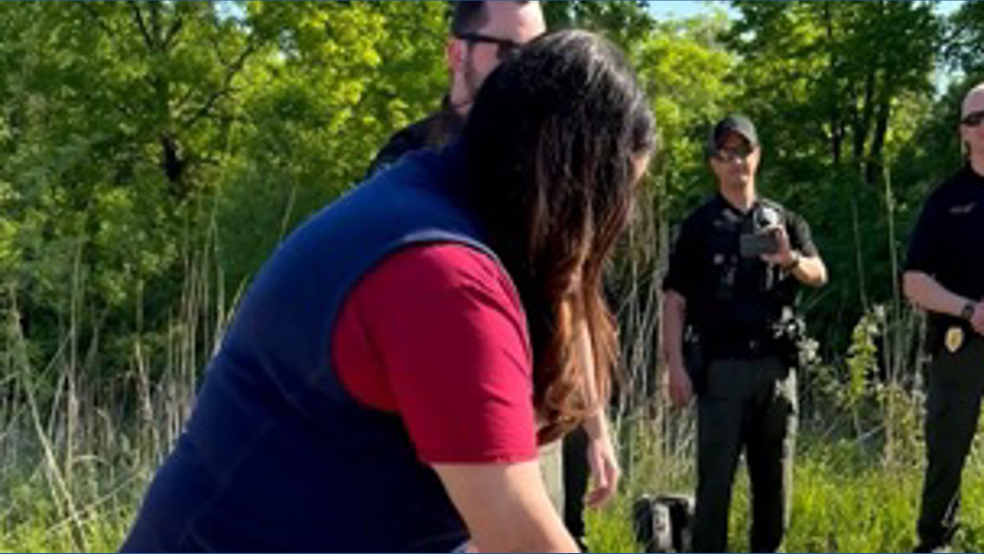 Bald eagle released back into the wild after recovering for 2 months
