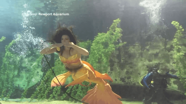 Mermaids return to Newport Aquarium along with new 21+ event