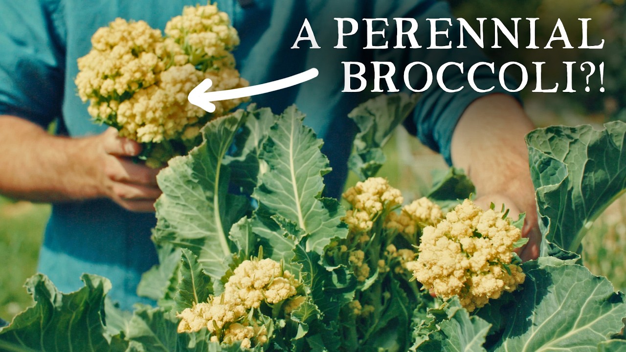 Uncommon edible plants you need to try!