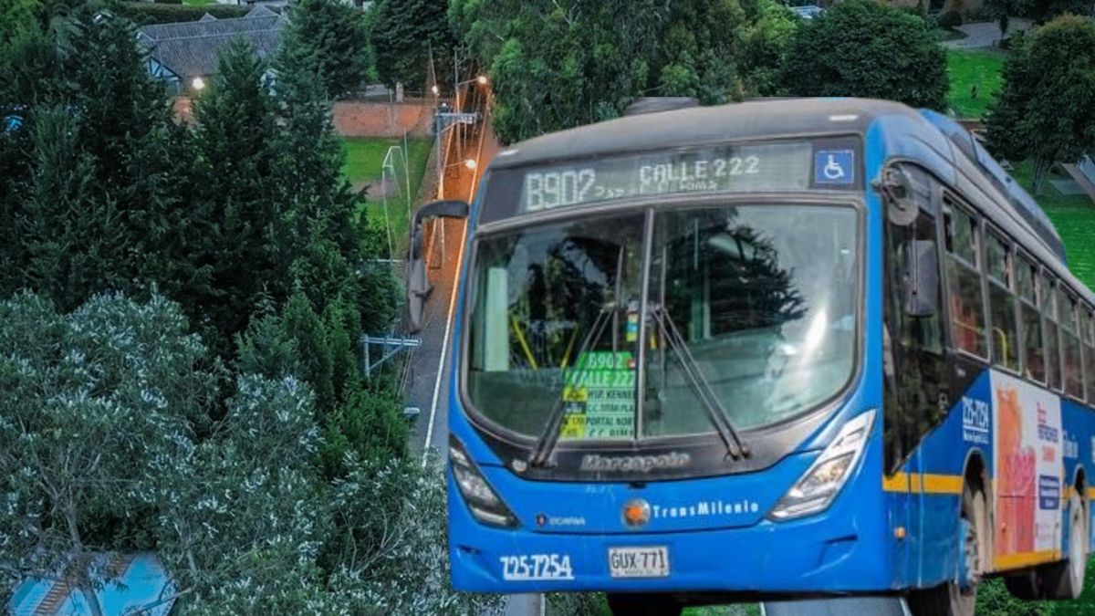 La UMV entrega la nueva calle 222: 16 cuadras renovadas le cambian la ...